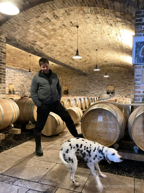 Rheinhessen genießen – eine Genussreise - Stilettos & Sprouts